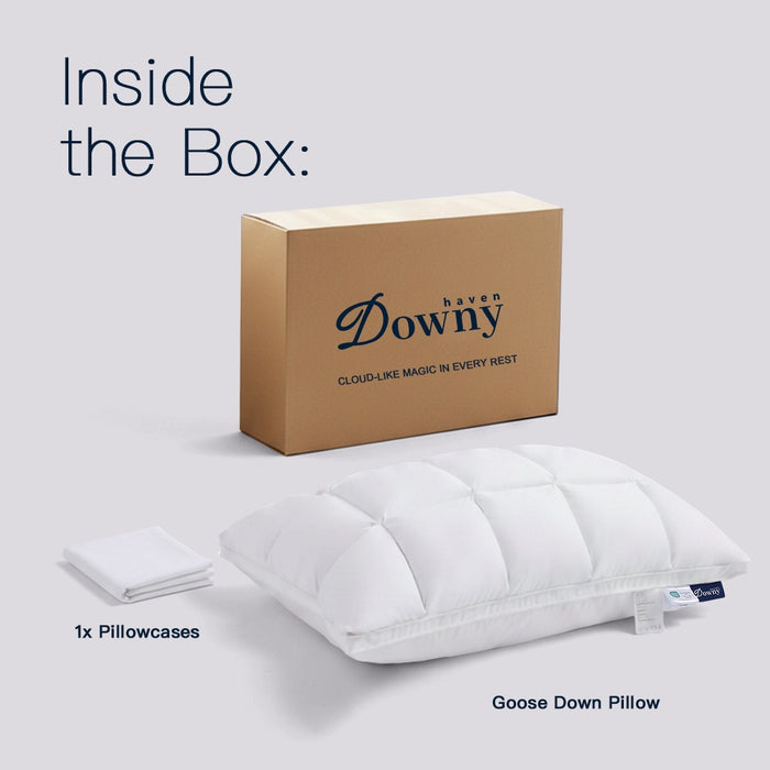 BlissfulCloud 100% Goose Down Pillow